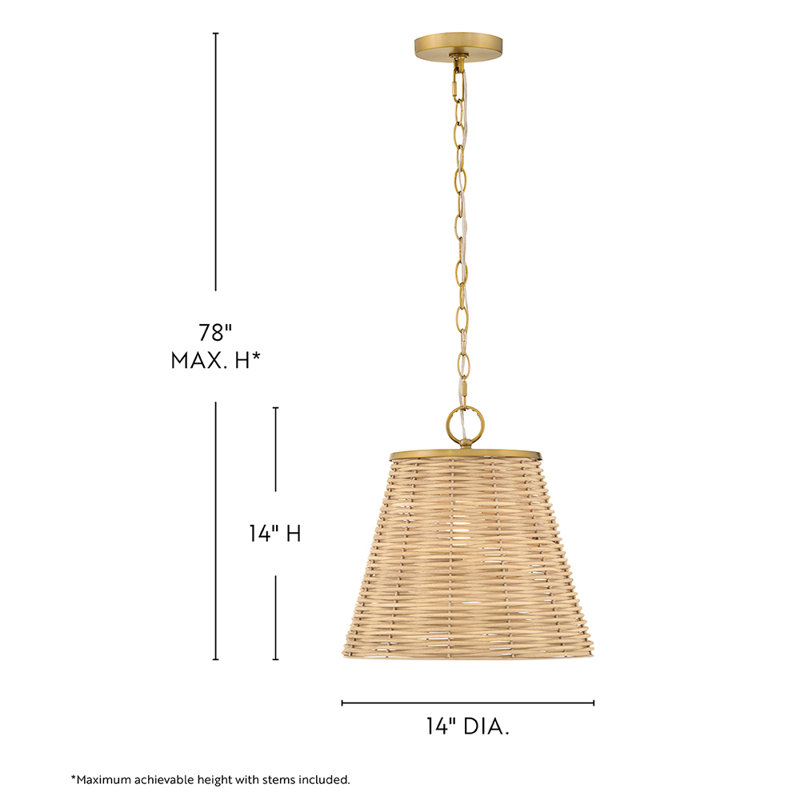Lark Brynn Medium Coastal Rattan Chain-Hung Pendant Light | Wayfair